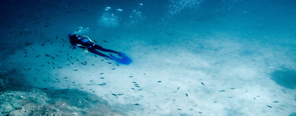 Red Sea Diving Extravaganza